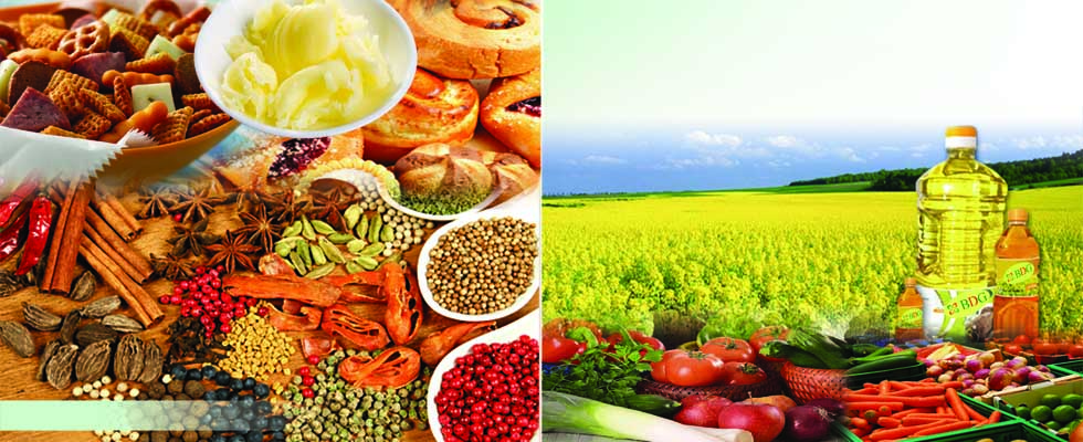 Bangladesh Foods Ltd.