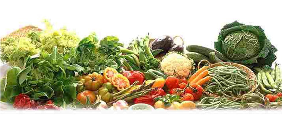 Bangladesh Foods Ltd.